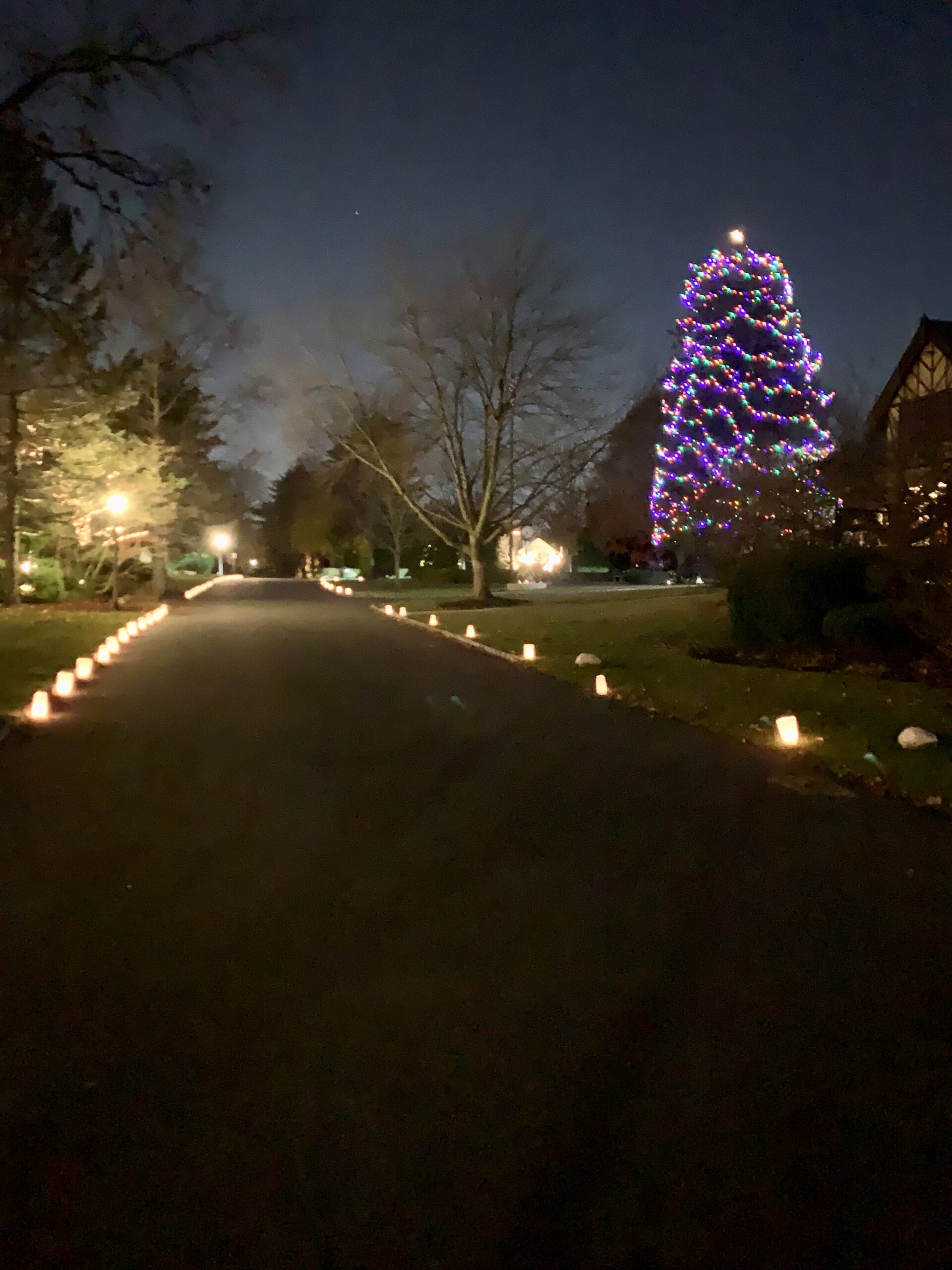 PLANDOME ASSOCIATION – PLANDOME ASSOCIATION